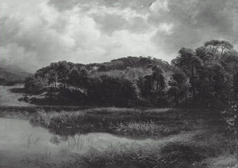 Title: Lake at the Edge of a Forest